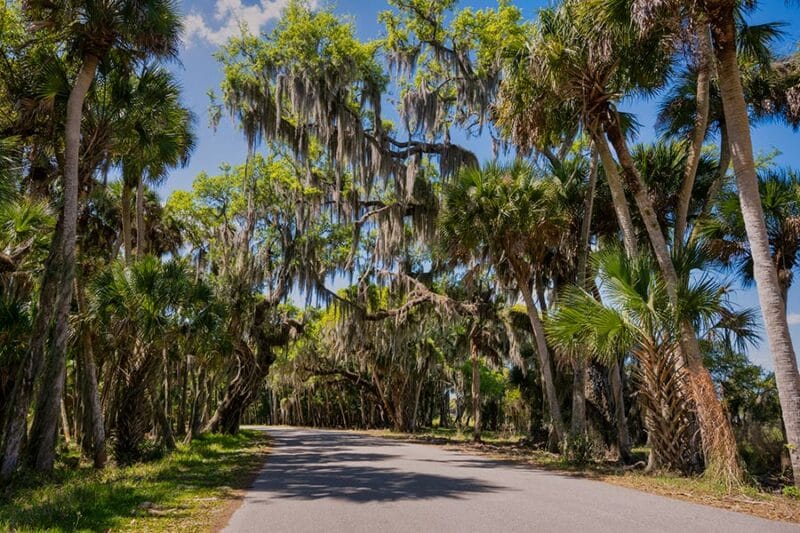 Myakka River State Park